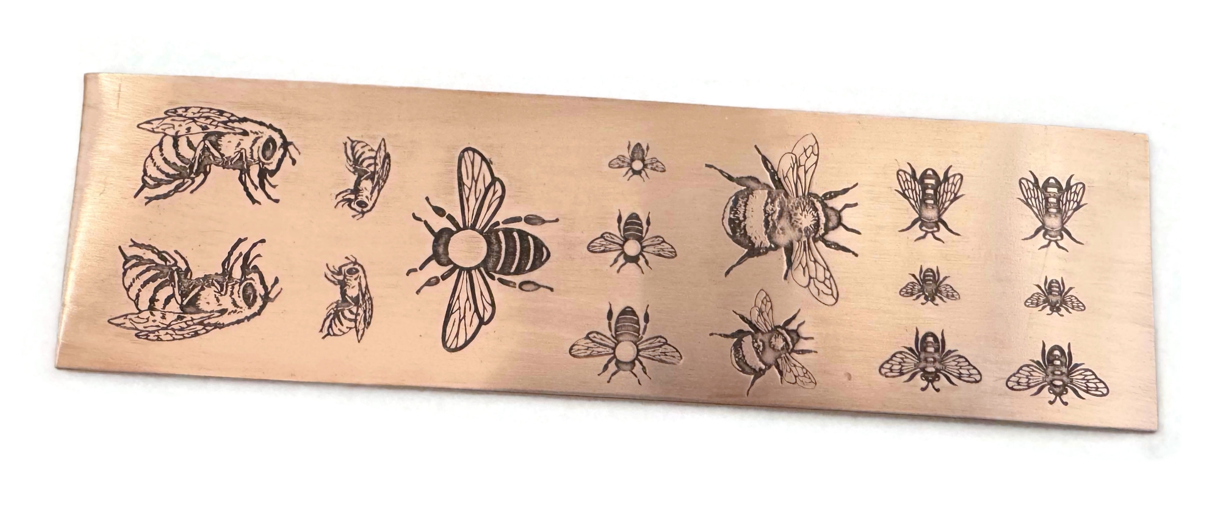 Potter USA - Fine Tools. Pattern Plate RMP408 Bees Knees